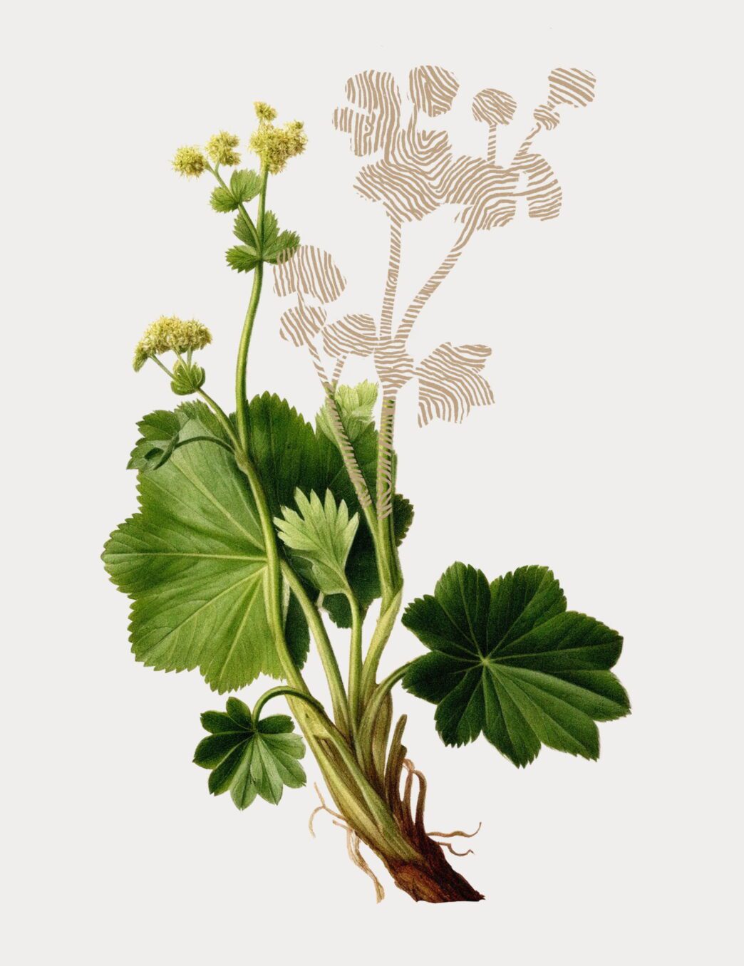 Startseite - Katharina Maria Burkhardt